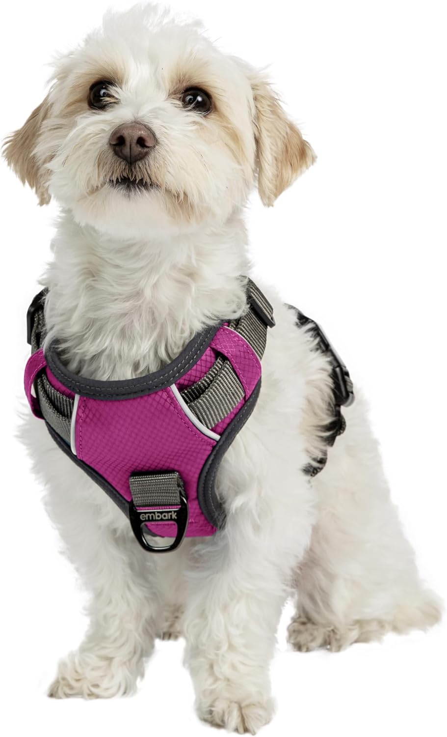 Embark Pets Adventure Dog Harness, No Pull Adjustable Puppy Harness ...