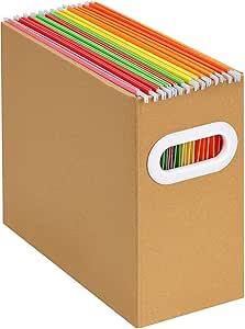 Amazon.com: EOOUT 3 Pack File Organizer, Cardboard File Box for Letter ...