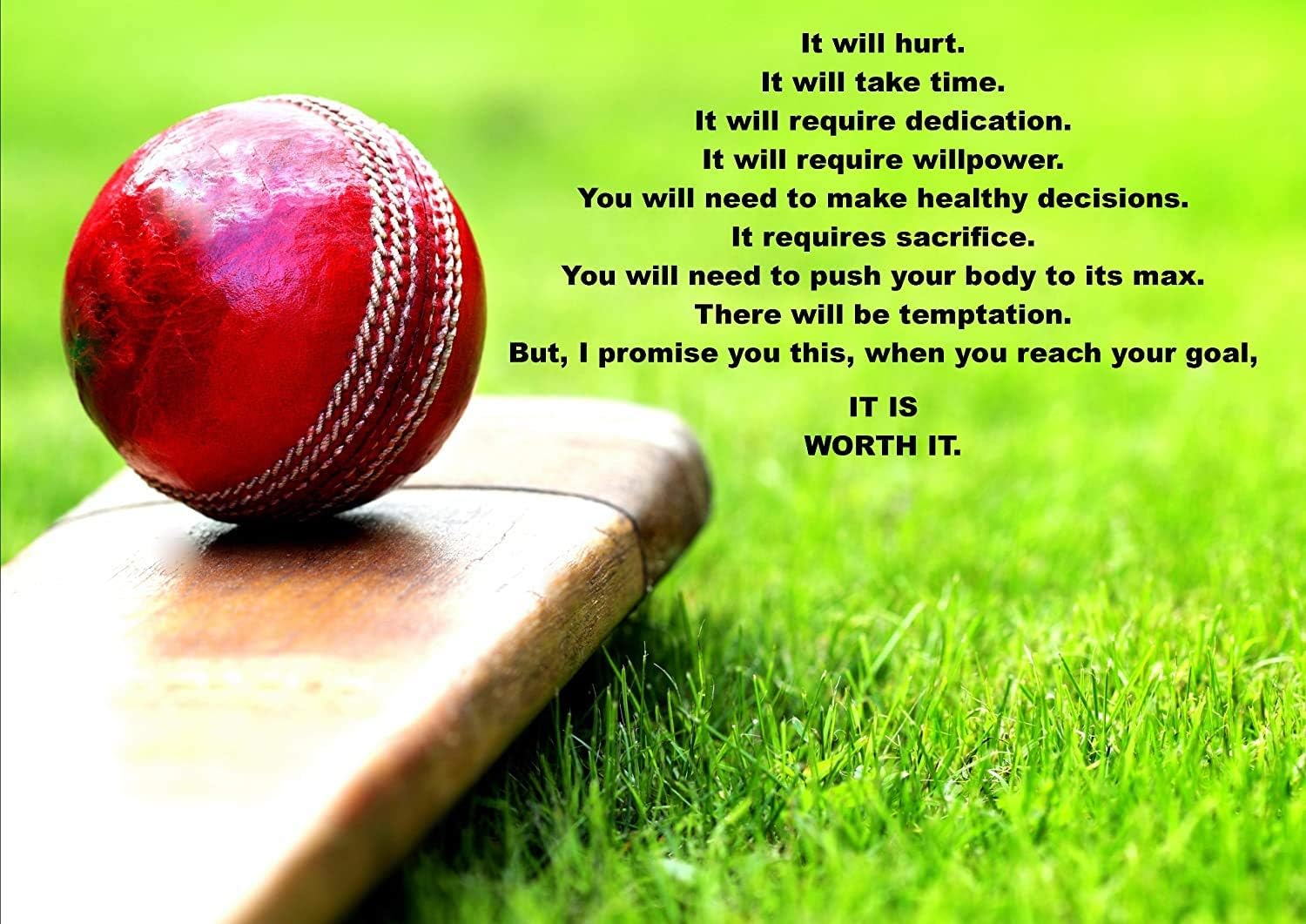 Cricket (It Will Hurt) Inspirational Motivational Quote Sign Poster ...