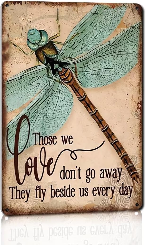 Amazon.com: Dragonfly May You Touch Dragonflies Stars Dance with ...
