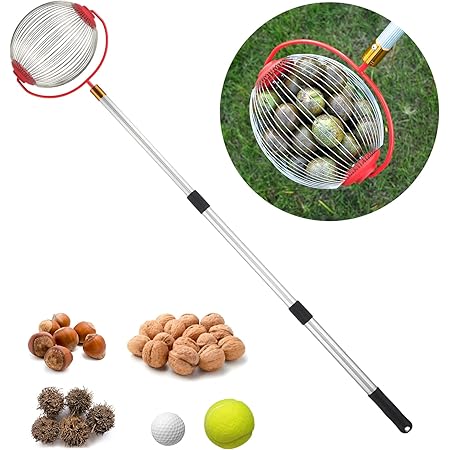 Amazon.com: Stab-A-Nut Large Acorn Harvester - Nut Picker Upper (Large ...