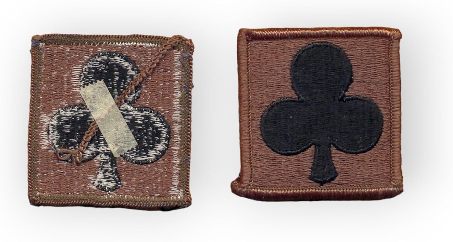 Amazon.com: 327th Infantry 1st BDE 101st Airborne HCI Helmet Cover ...