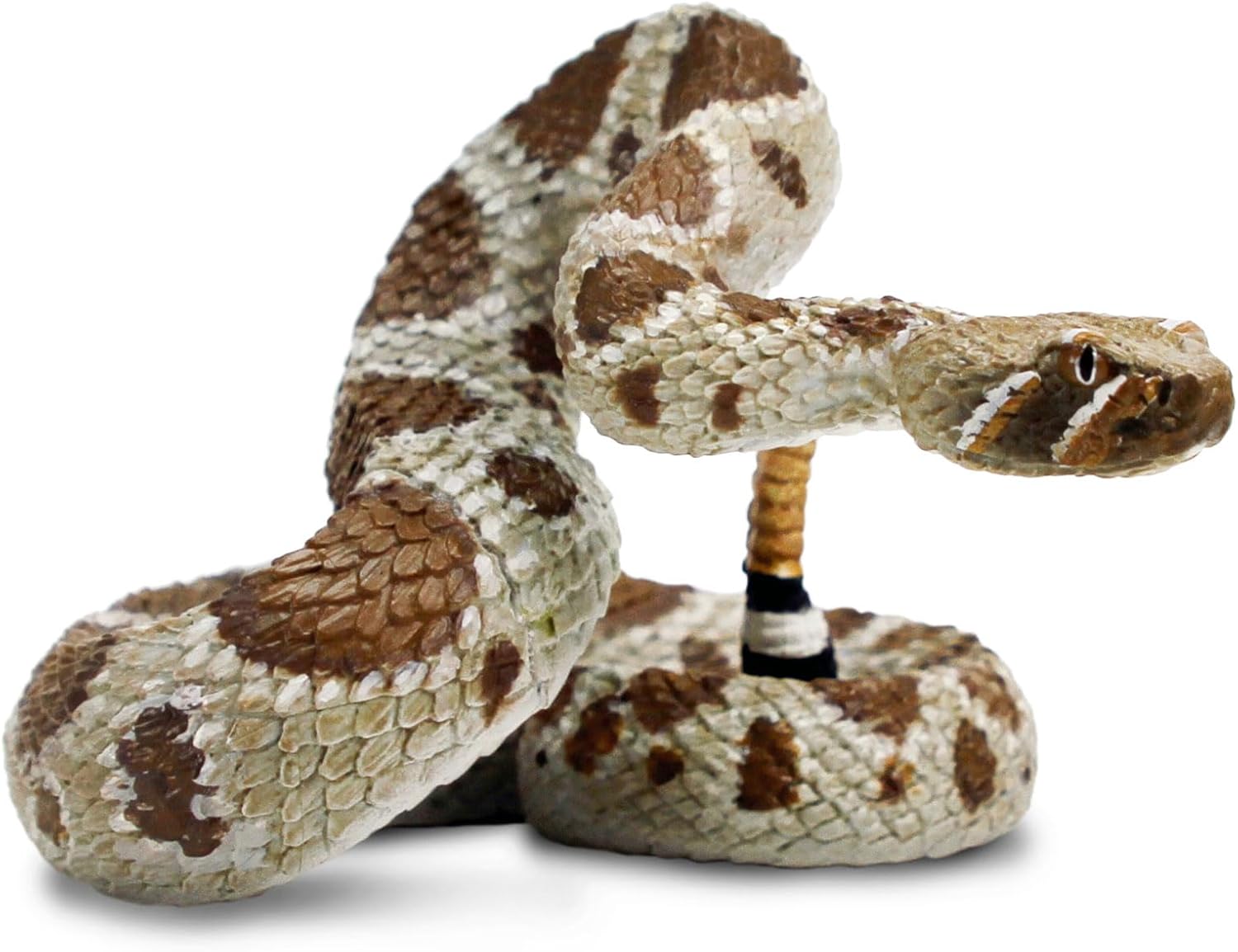 Amazon.com: Safari Ltd. Western Diamondback Rattlesnake Figurine ...