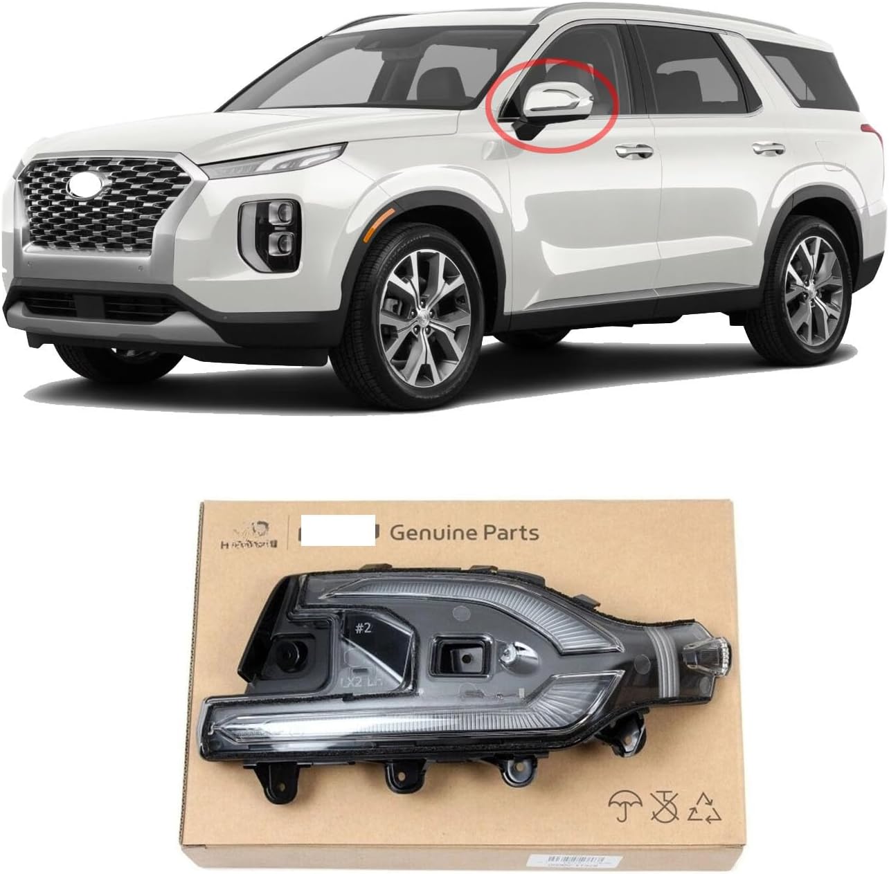 Amazon.com: Generic Genuine OEM 87614-S8000 Outside Mirror Signal Lamp ...