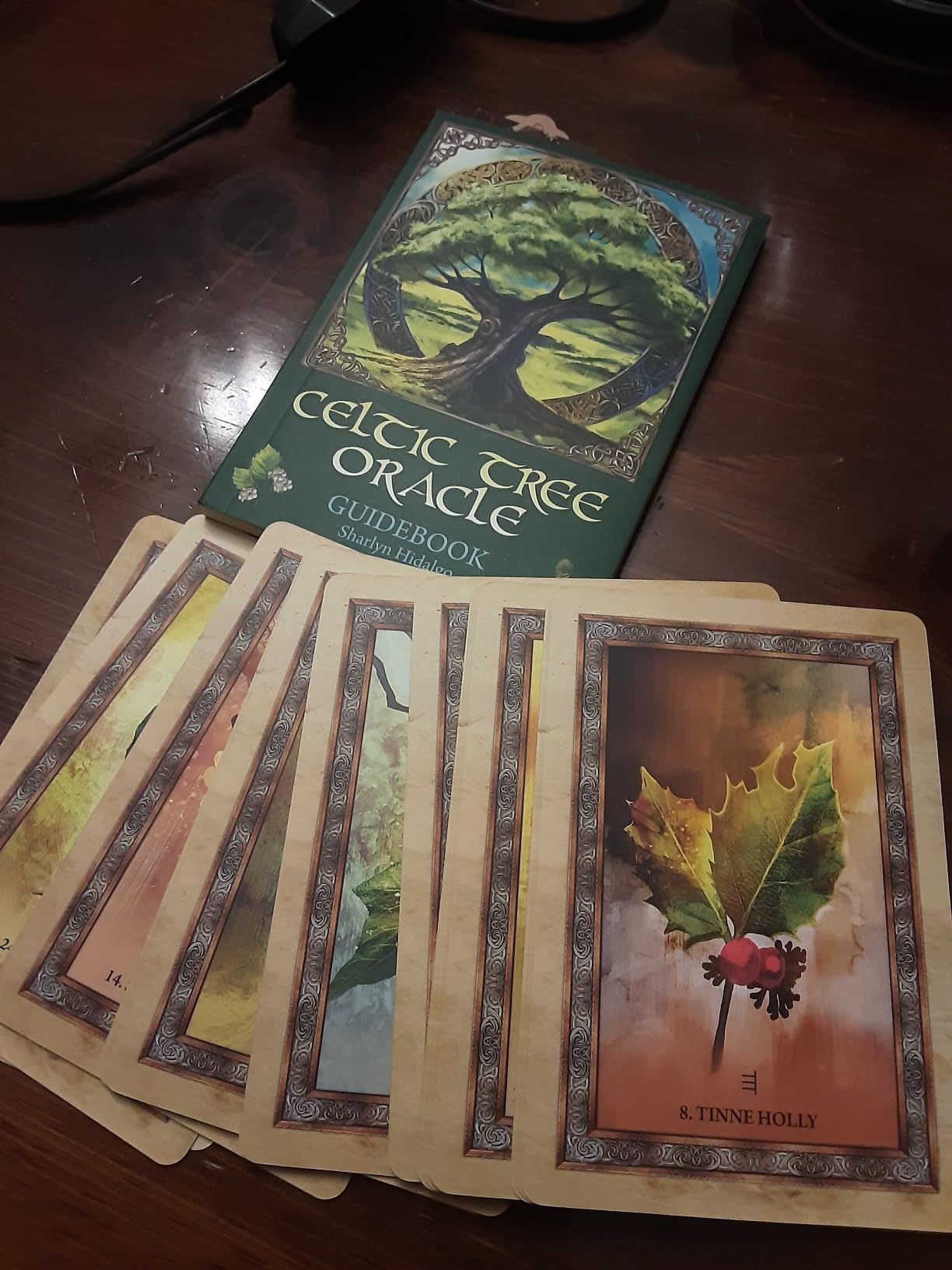 Celtic Tree Oracle: Hidalgo, Sharlyn, Manton, Jimmy: 9780738754314 ...