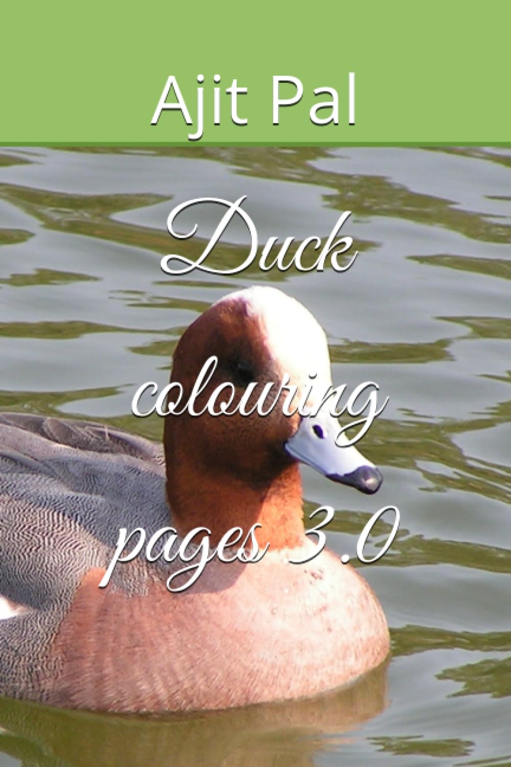Duck colouring pages 3.0: Pal, Mr Ajit Kumar: 9798861041287: Amazon.com: Books