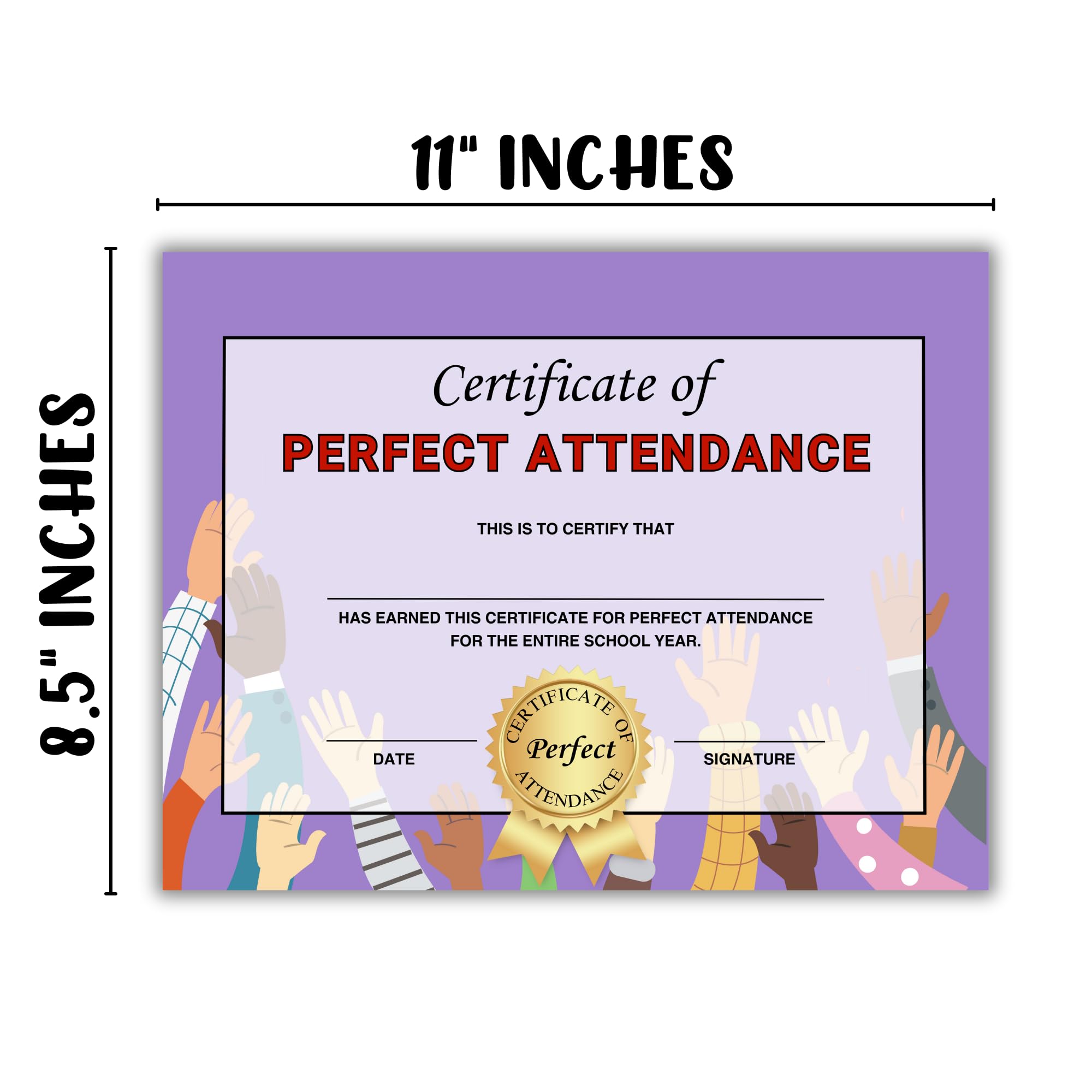 Perfect Attendance Certificate Personalised Attendance Award