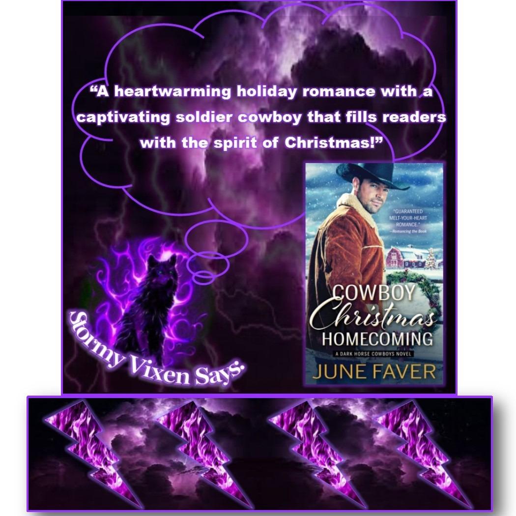 Cowboy Christmas Homecoming (Dark Horse Cowboys, 4): Faver, June ...