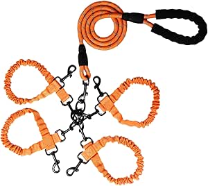 Amazon.com : Dog Double Leashes,Rope Bungee Four Leash with Padded ...