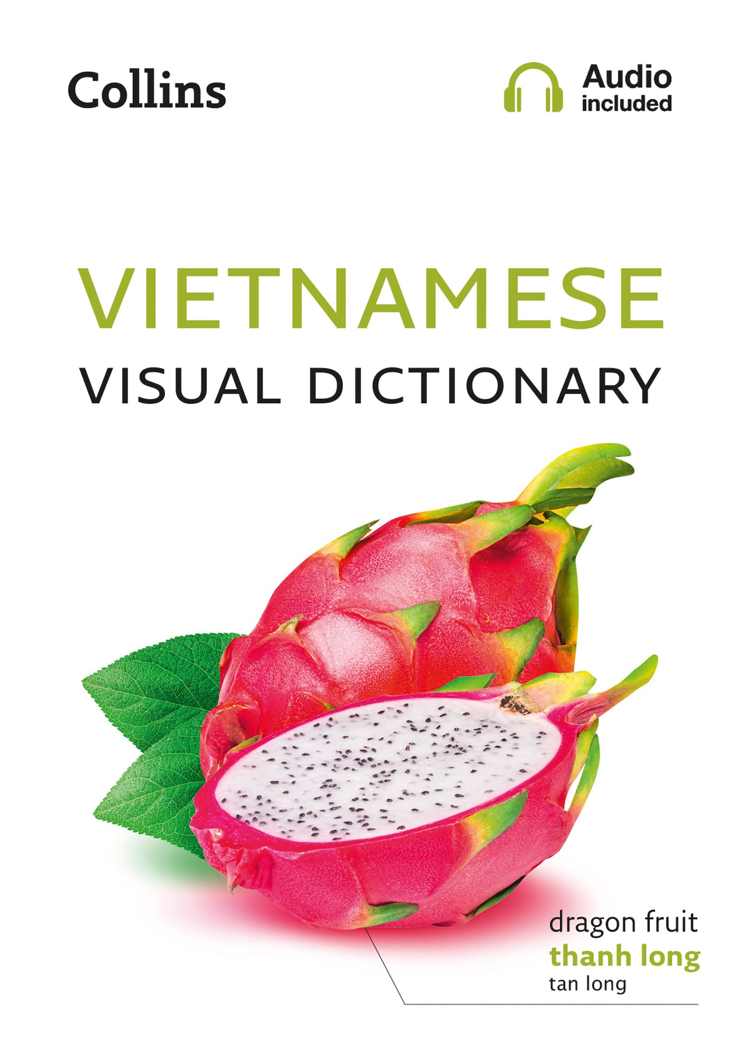 Vietnamese Visual Dictionary: A Photo Guide to Everyday Words and ...