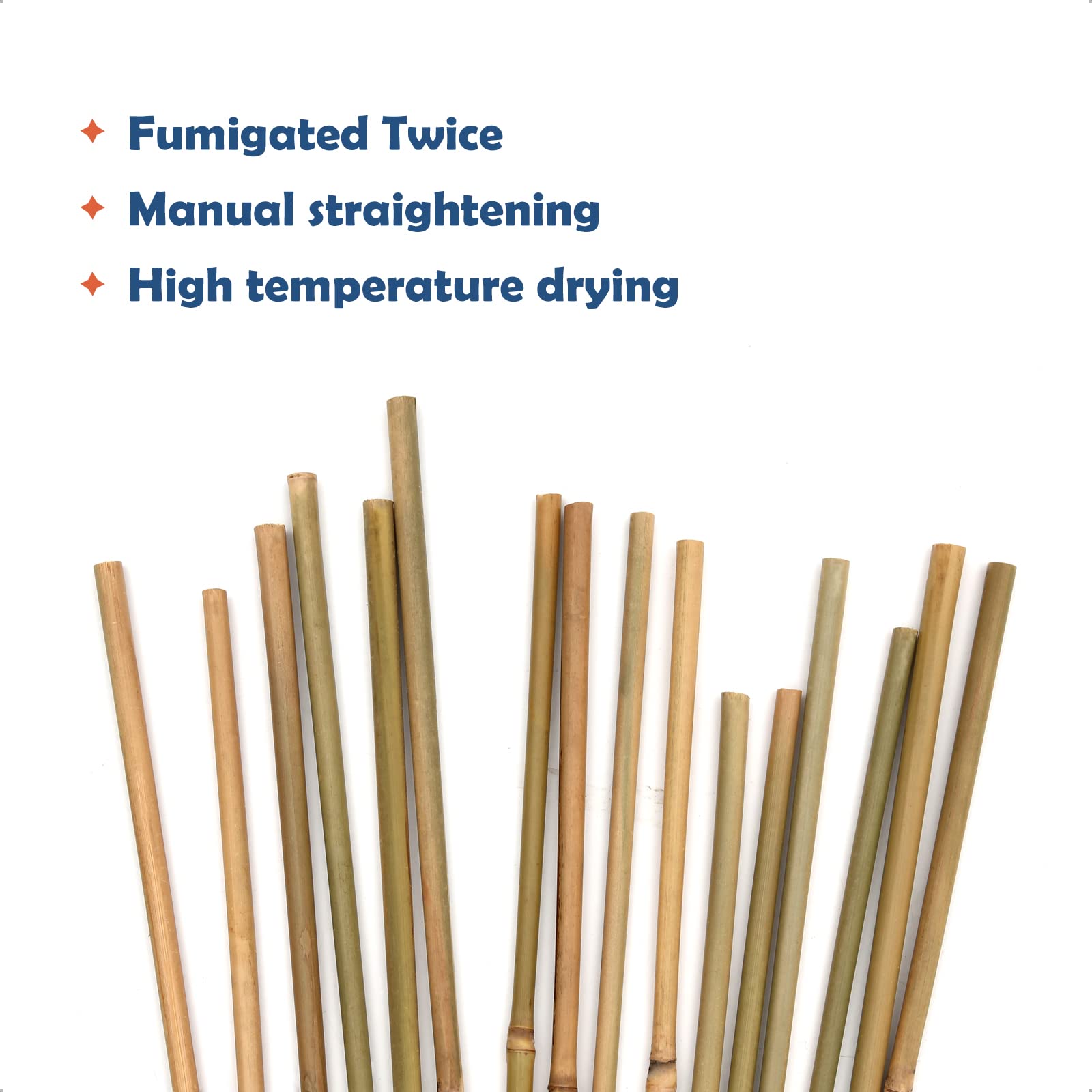 Snapklik.com : Bamboo Stakes 6FT Garden Stakes Plant Stakes For Outdoor ...