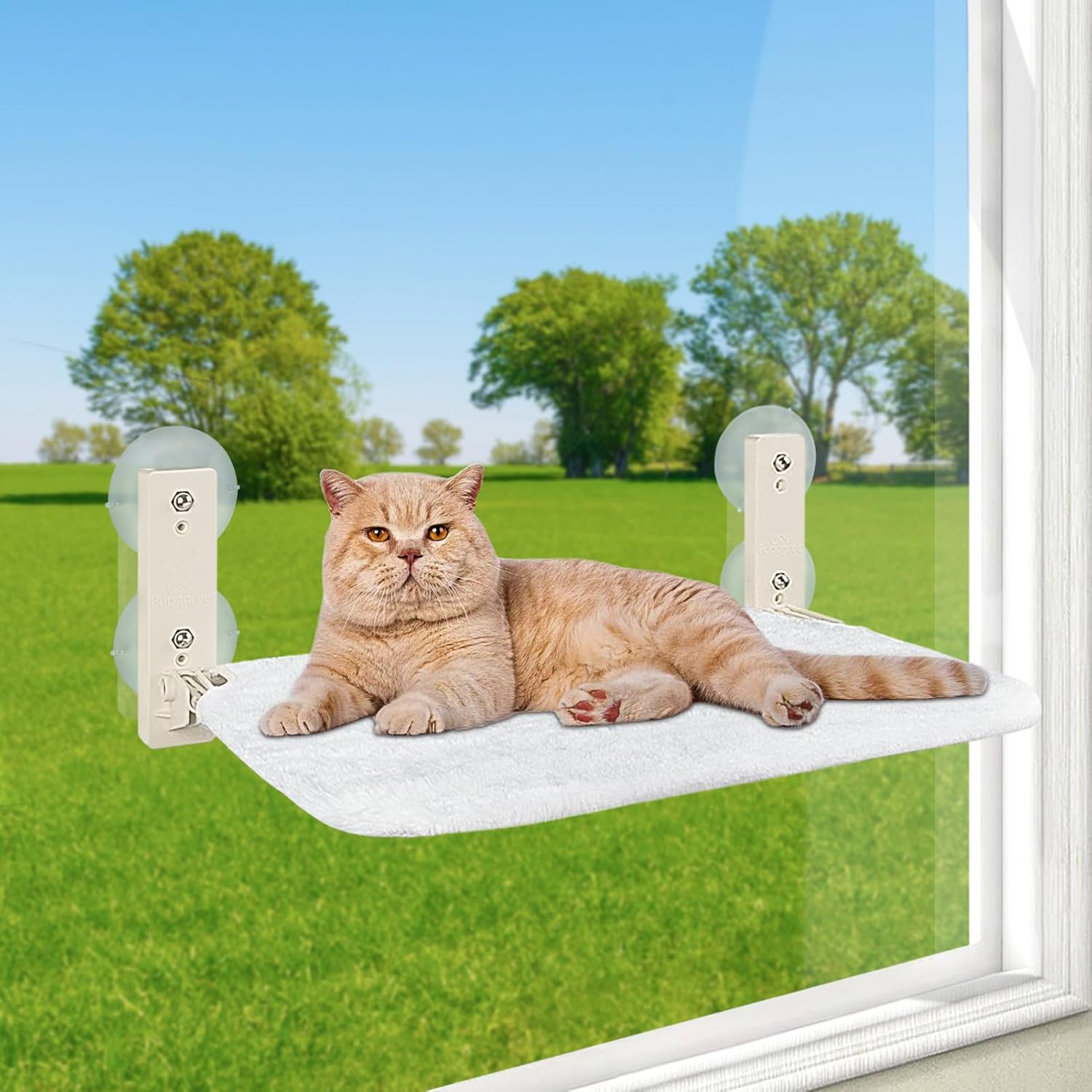 PEFUNNY Large Size Foldable Cat Window Perch, Sturdy Cordless Cat ...