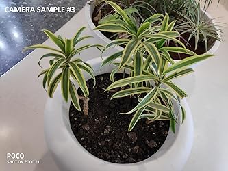 Poco F1 by Xiaomi (Steel Blue, 6GB RAM, SD 845, 128GB Storage) : Amazon ...