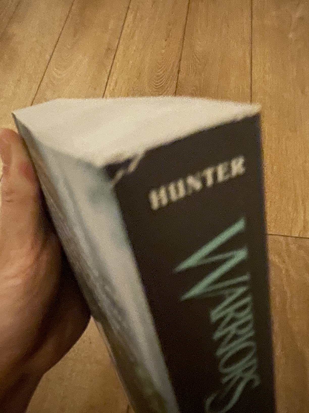 Warriors: A Vision of Shadows Box Set: Volumes 1 to 6: Amazon.co.uk ...