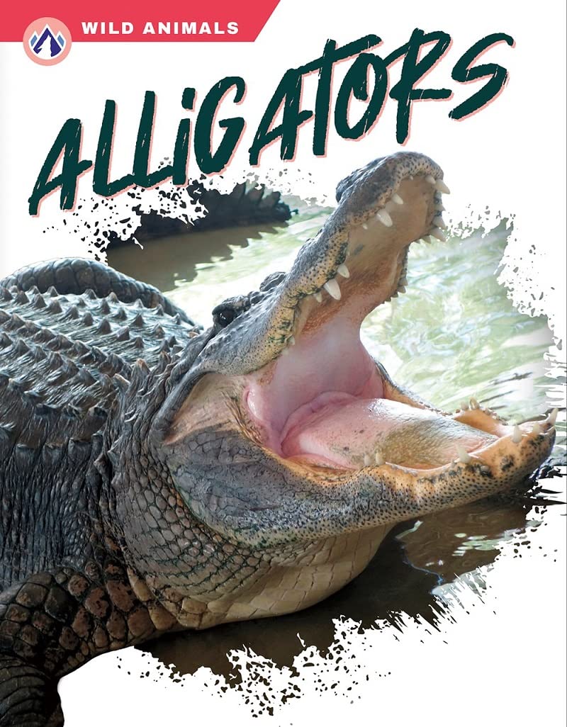 Alligators (Wild Animals): Shannon Jade: 9781637384398: Amazon.com: Books