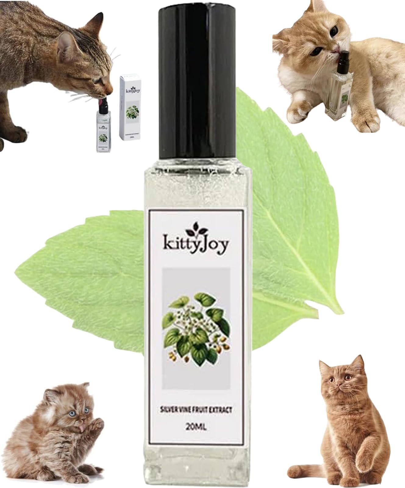 Amazon.com : Multipet Catnip Garden Mist Spray Toy, 4 oz : Pet Supplies