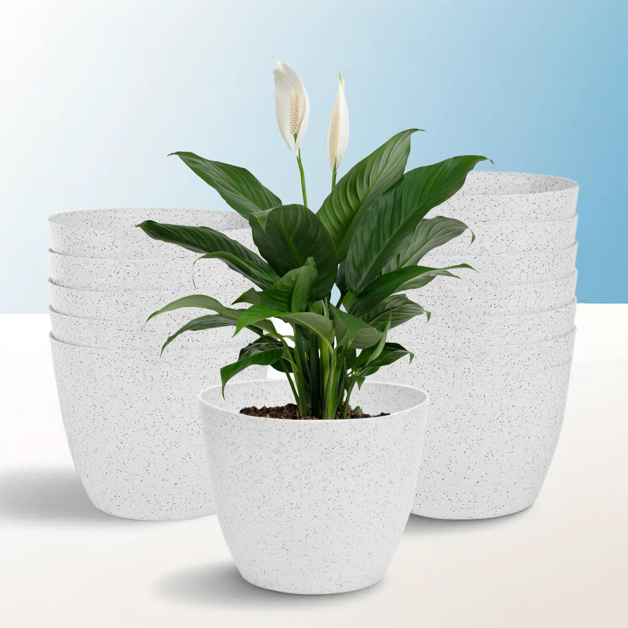 Kuber Industries Pack of 12 Flower Pot | Flower Pot for Living Room ...