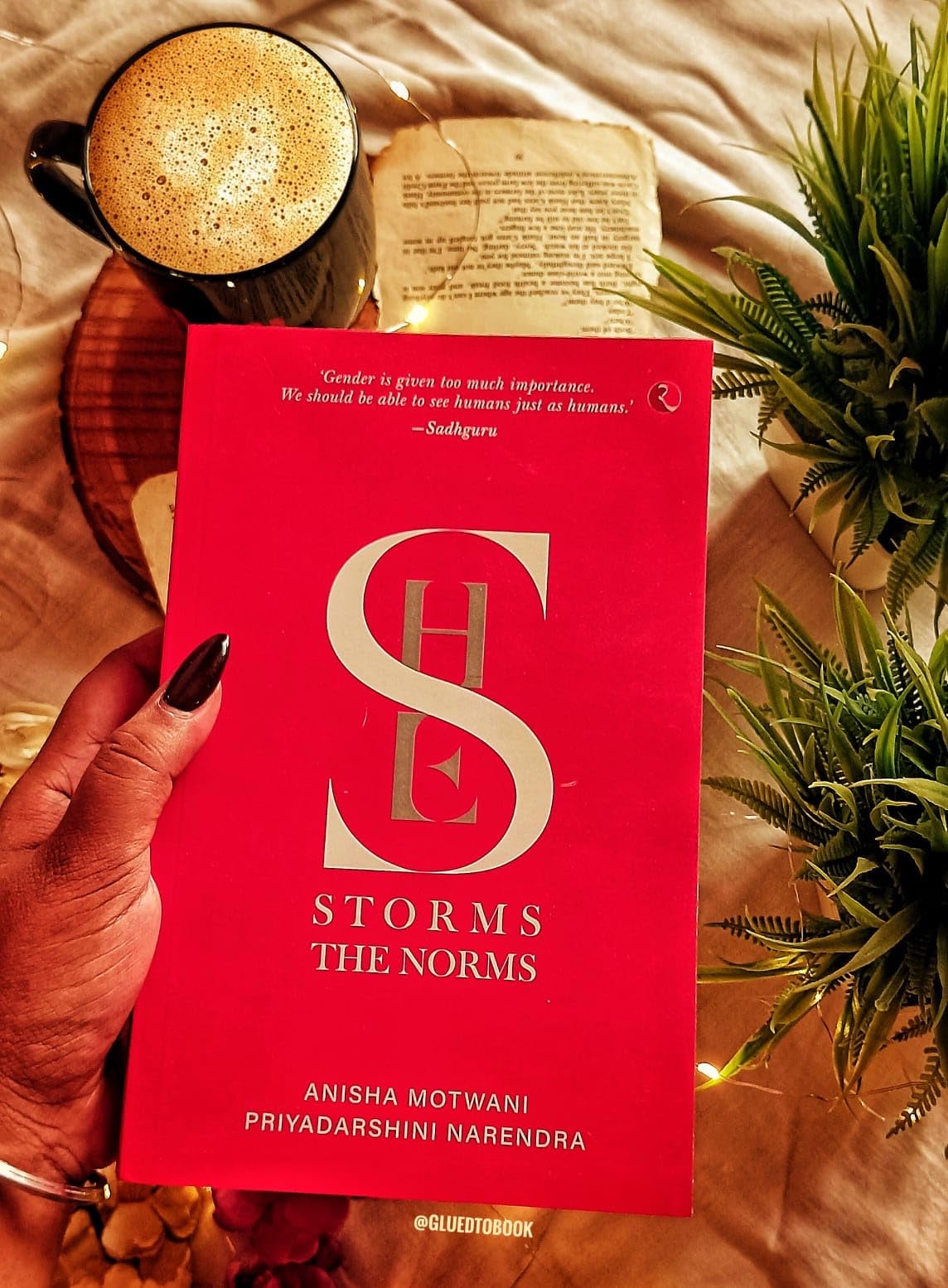 She Storms the Norms : Anisha Motwani, Priyadarshini Narendra: Amazon ...