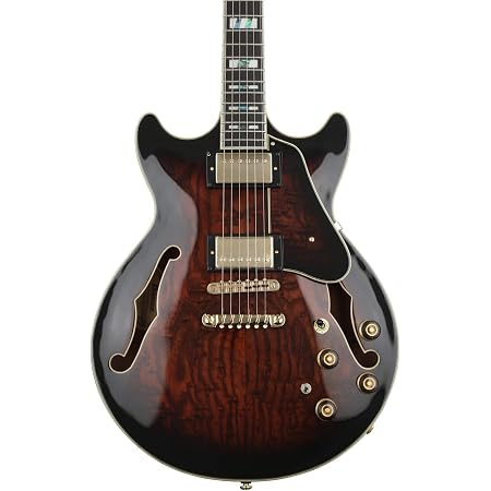 Amazon.com: Ibanez AM153QA Artstar Hollow Body Electric Guitar: Musical ...