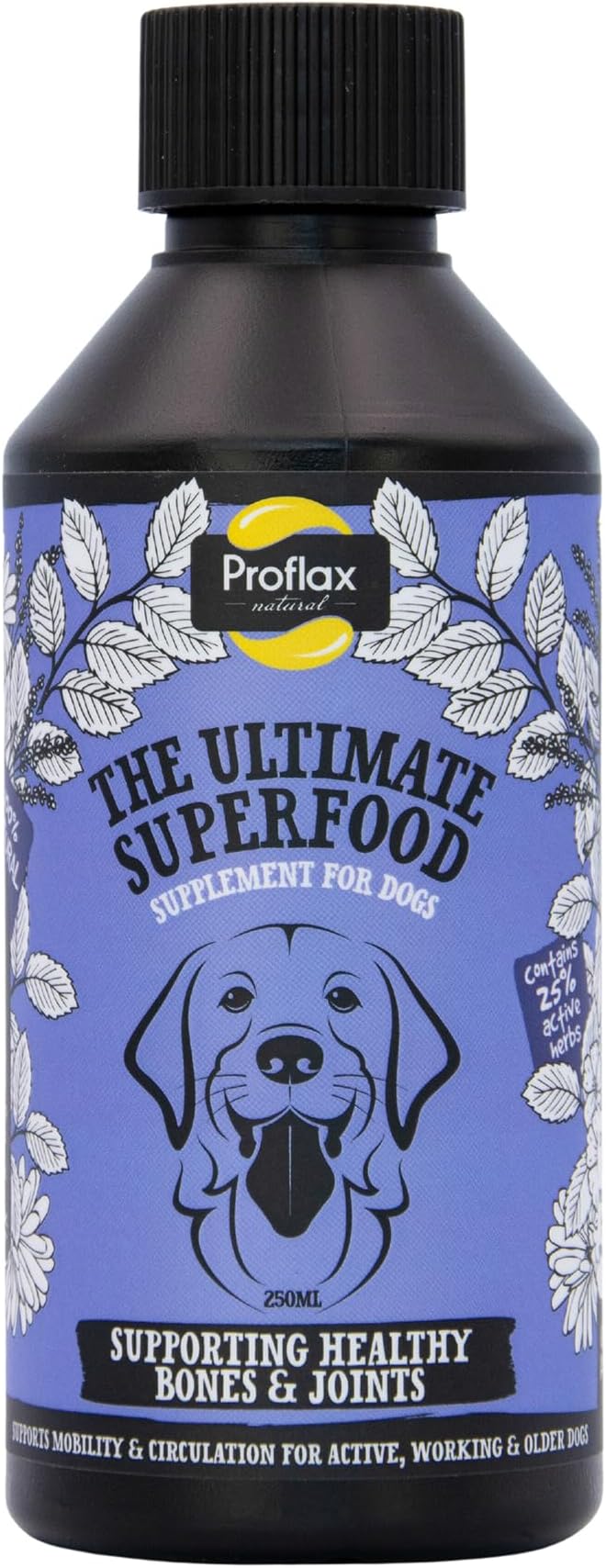 Proflax Natural Bone & Joint Oil Supplement for Dogs, 250ml - Contains ...
