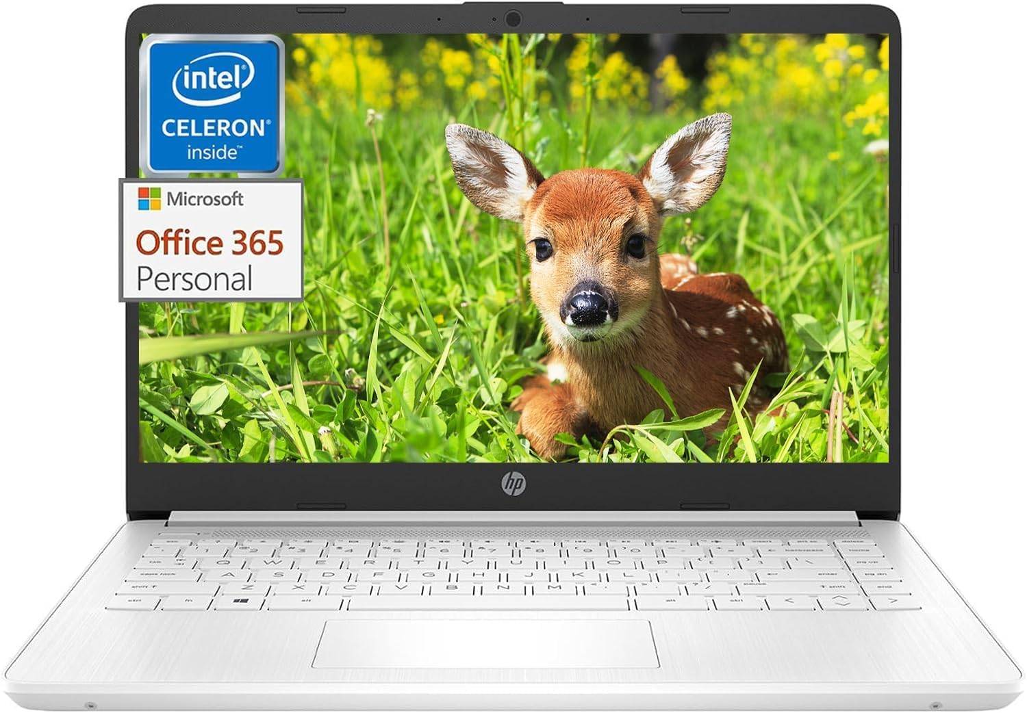 Amazon.com: HP 2023 Newest 14 Inch Laptop Students Business, Intel Quad ...