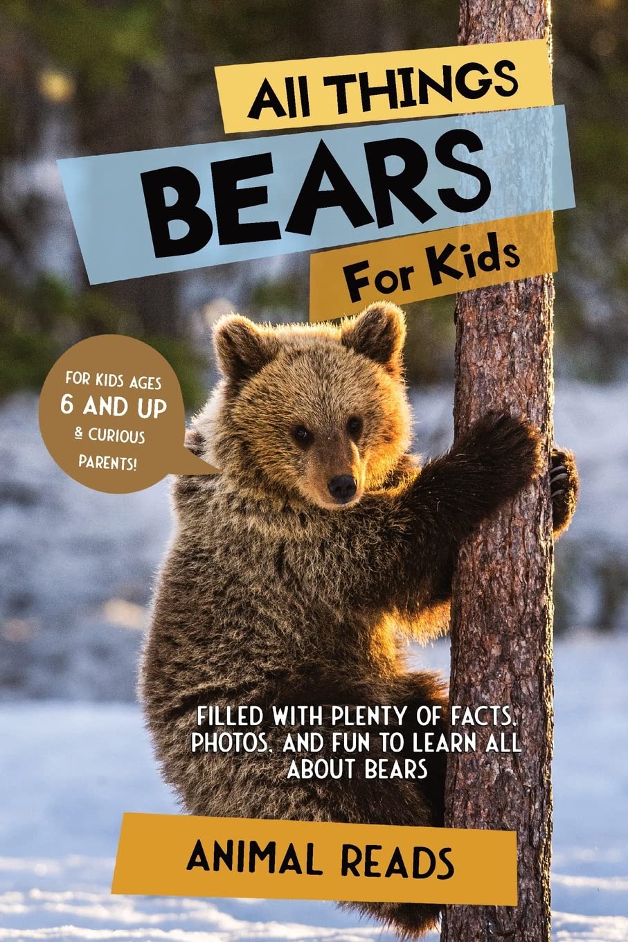 All Things Bears For Kids: Filled With Plenty of Facts, Photos, and Fun ...
