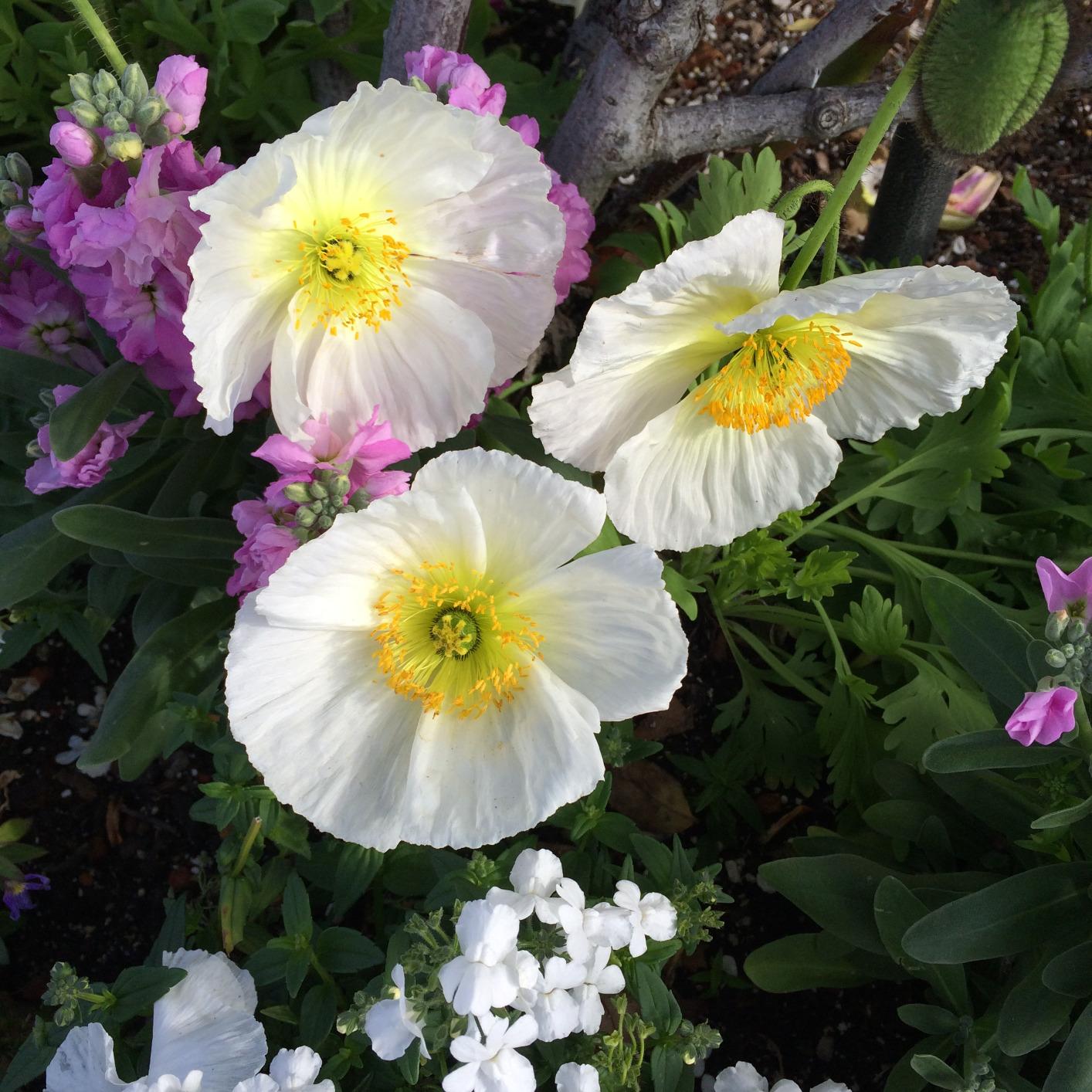 Liberating Love Daily Devotional: 365 Love Notes from God: Jha, Sandhya ...