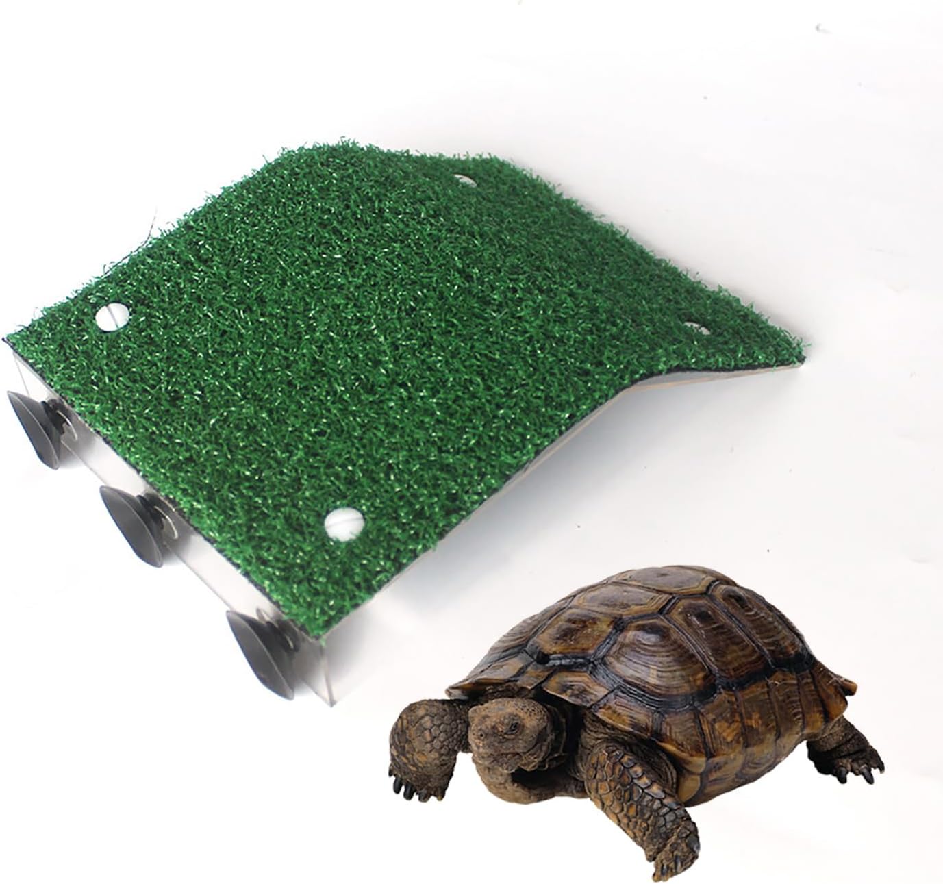 Amazon.com : Hanging Large Turtle Basking Platform for Aquatic Turtles ...