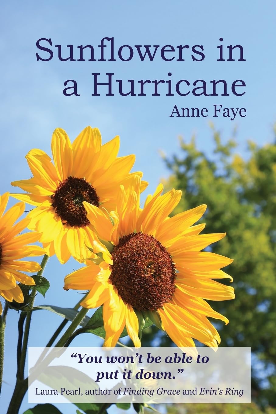 Book review of Sunflowers in a Hurricane - Readers' Favorite: Book ...