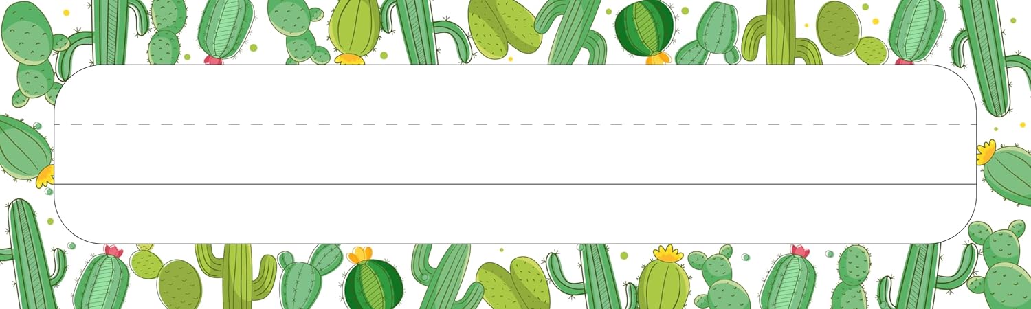 Amazon.com: Wonmon 50 PCS Classroom Name Tags for Desk, Cactus Student ...