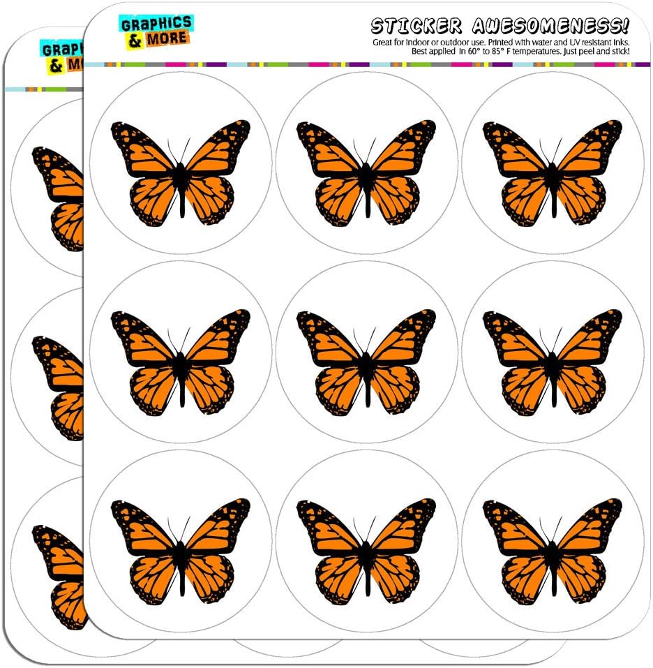 Amazon.com - Monarch Butterfly Pack Bumper Sticker Vinyl Decal 5 inches