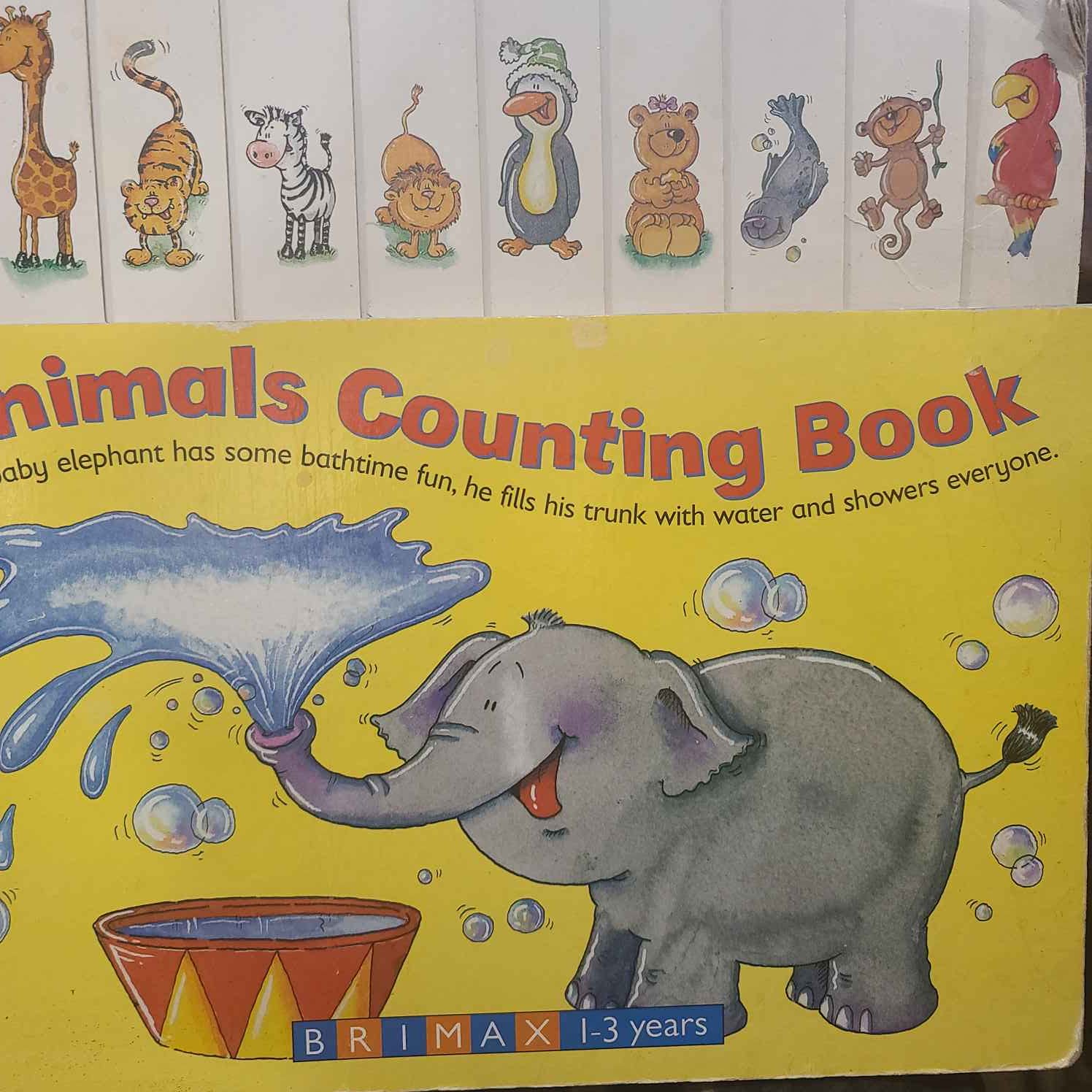 Animals Counting Book - Large: unknown author: 9781858548708: Amazon ...