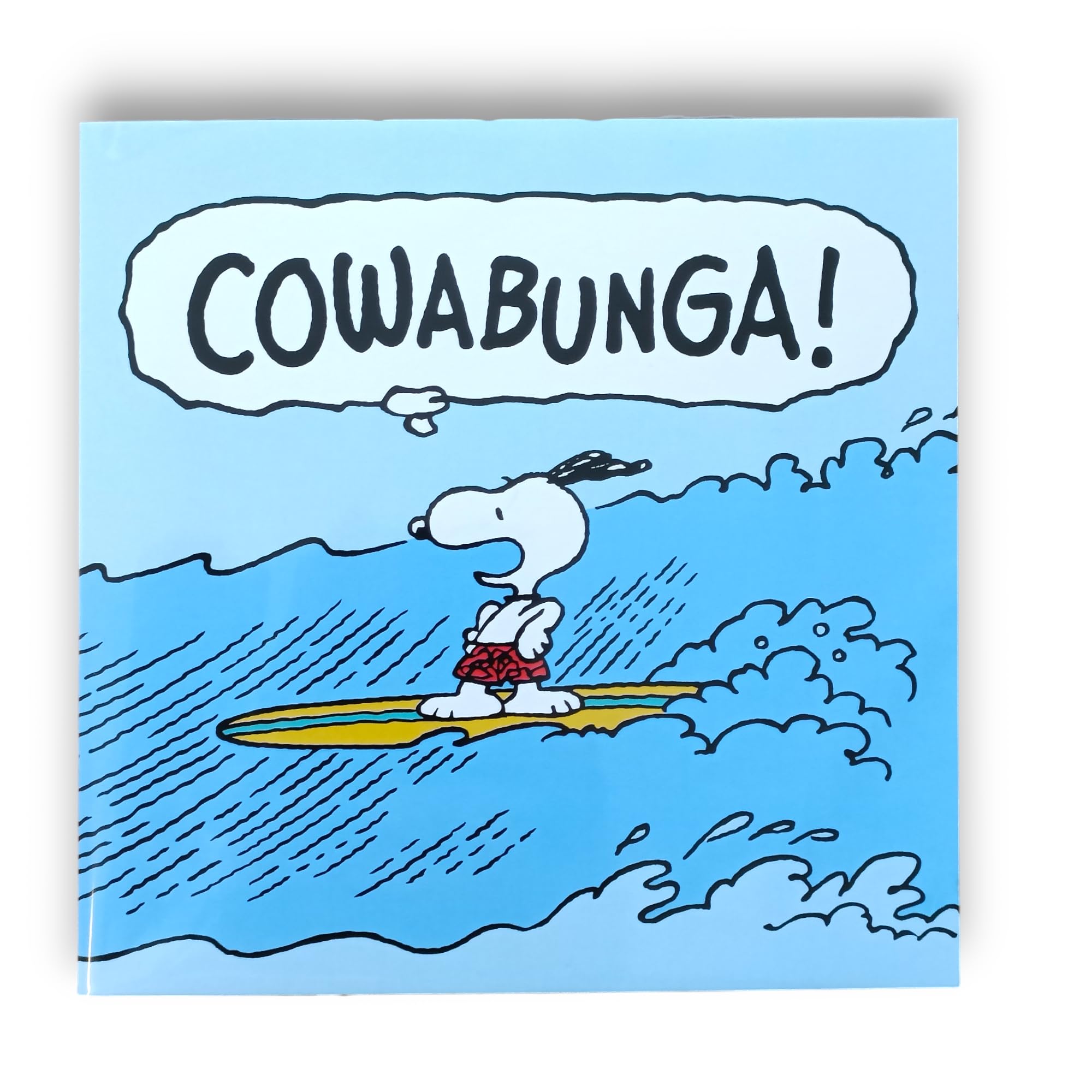 Peanuts Snoopy Surf Card Cowabunga! : Amazon.co.uk: Stationery & Office ...