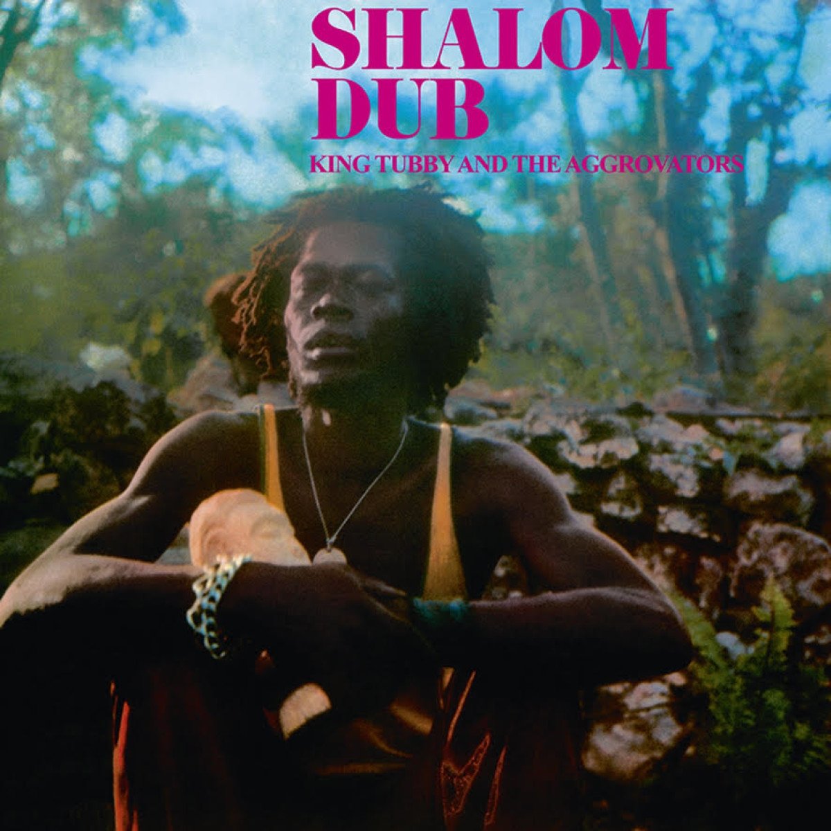 Amazon.com: Shalom Dub: CDs & Vinyl