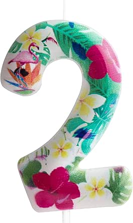 Amazon.com: 2nd Birthday Candle Flamingo Number 2 Candle Flamingo Cake ...