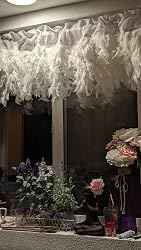 Amazon.com: Chlweim Feather Valance Curtains for Living Room Bathroom ...