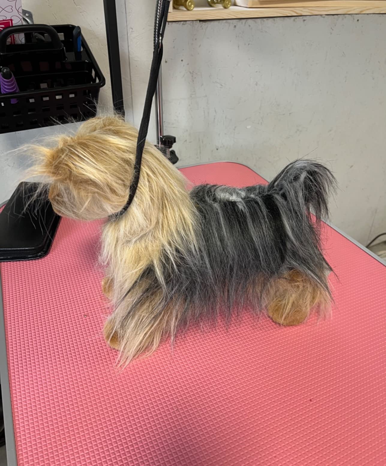 Amazon.com: Douglas Brenton Yorkie Dog Yorkshire Terrier Plush Stuffed ...