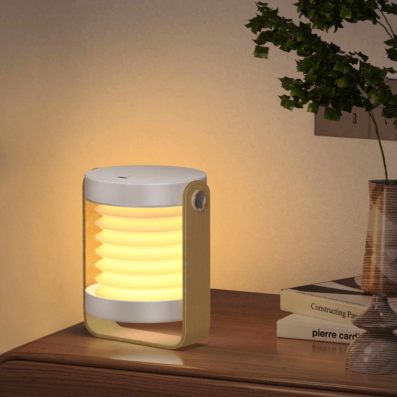 Rechargeable Lamp Bedside, RealPlus USB Rechargeable Portable LED ...