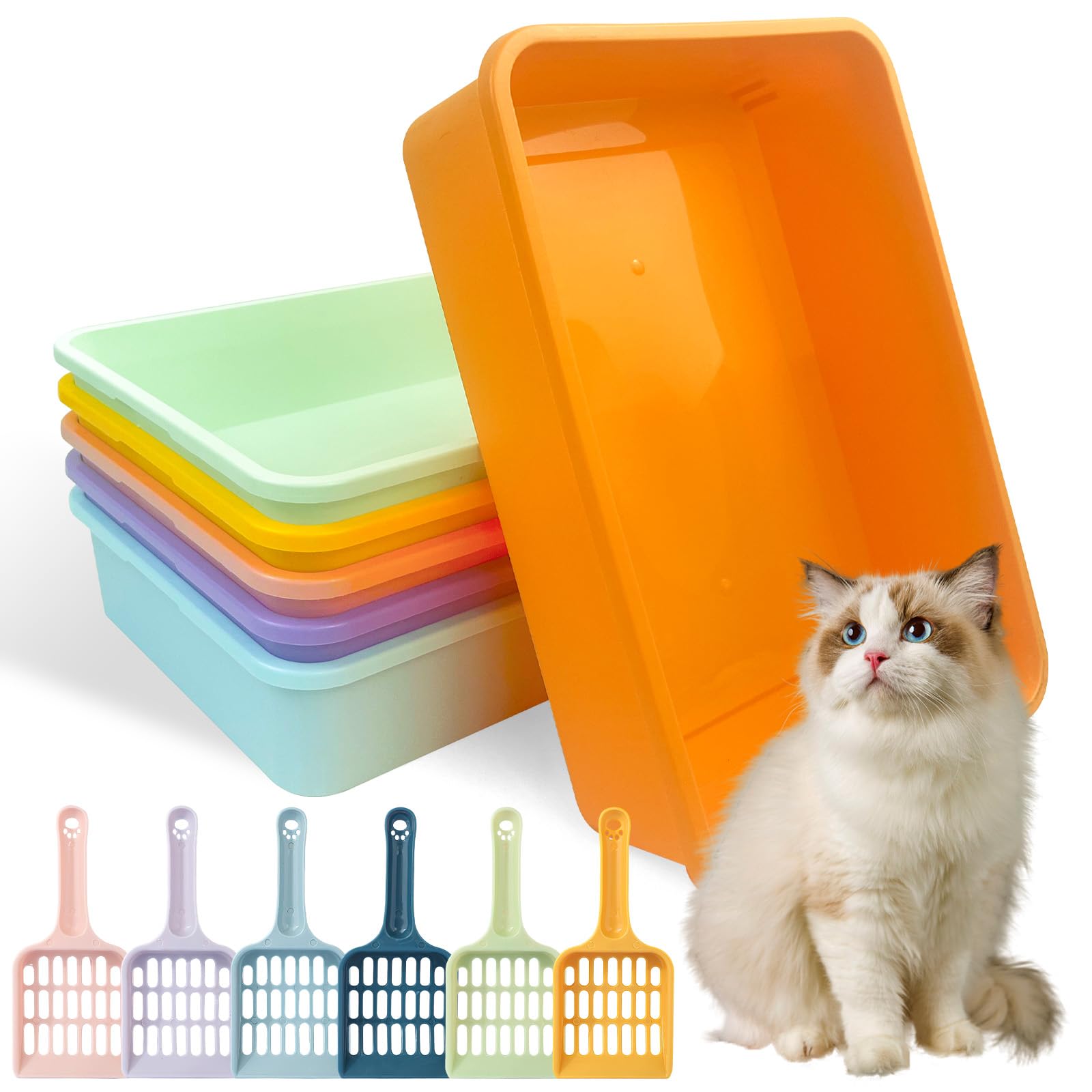 Amazon.com : 6 Pcs Kitten Small Litter Box Set, Plastic Kitten Litter ...