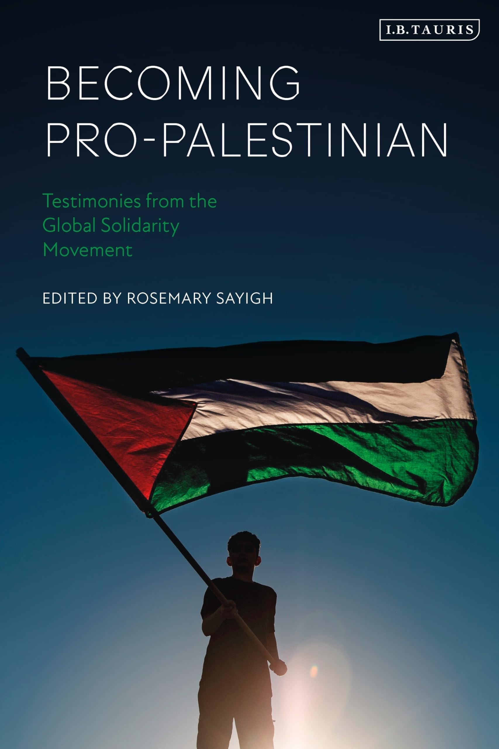 Becoming Pro-Palestinian: Testimonies from the Global Solidarity ...