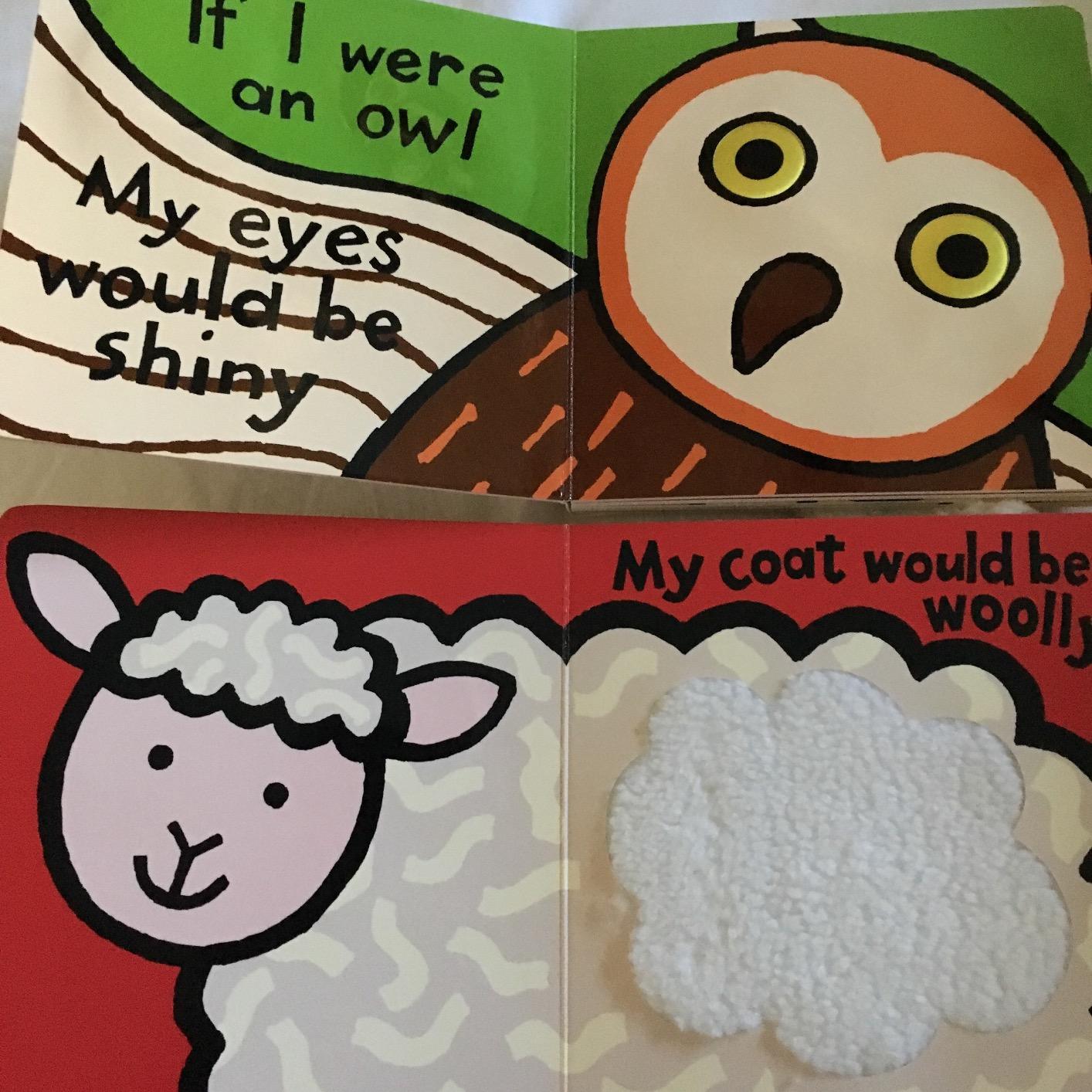 Amazon.com: Jellycat Board Books, If I Were an Owl : Toys & Games