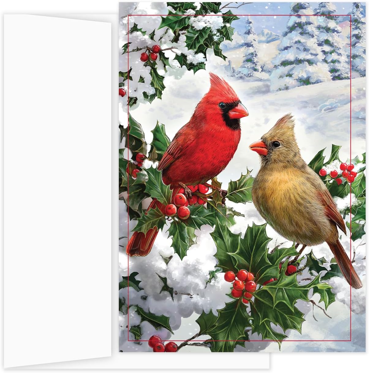 Amazon.com : Masterpiece Cardinal Couple Christmas Cards / 16 Festive ...