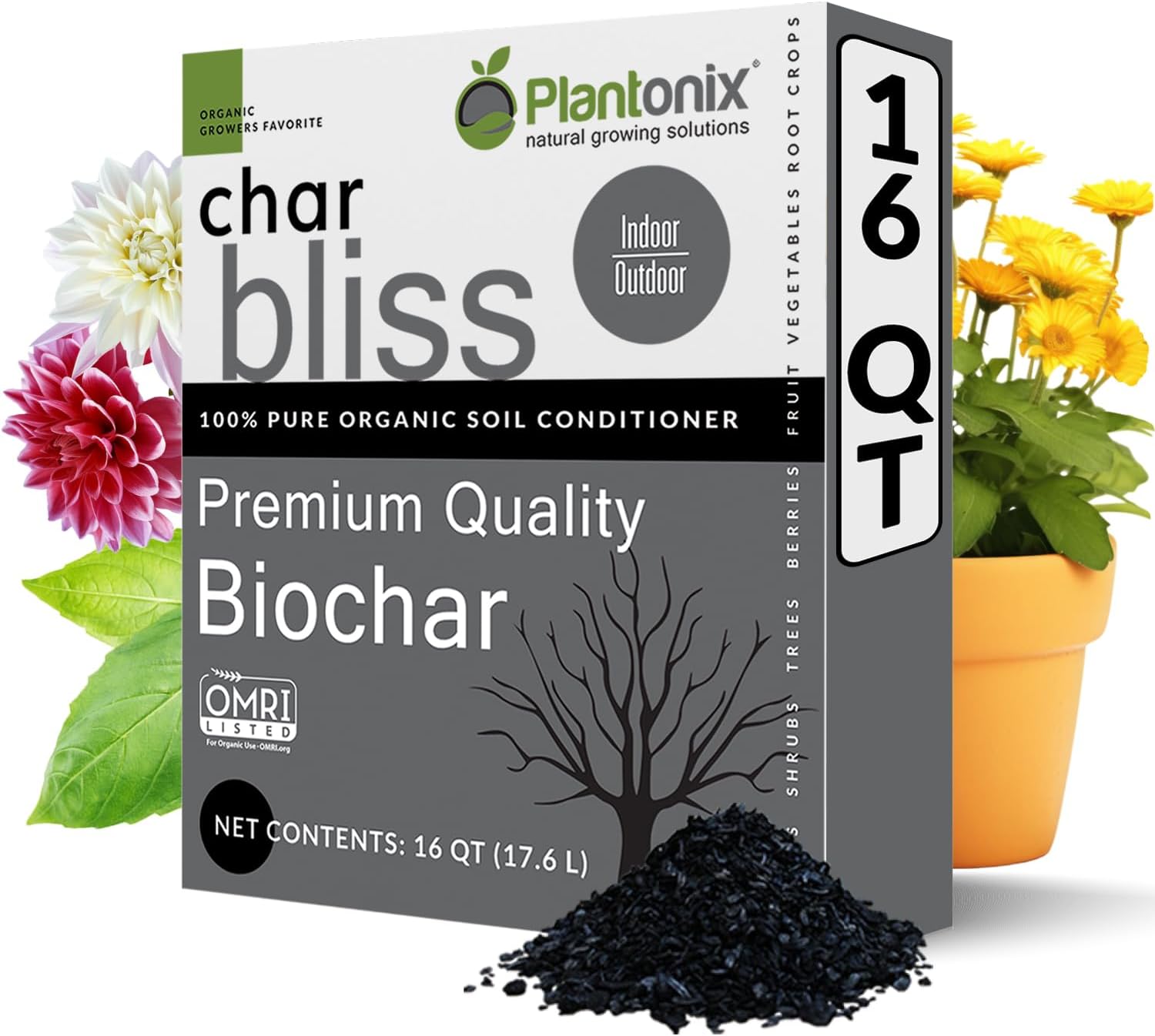 Amazon.com : Biochar by Lewis Bamboo - Natural Soil Additive (1.25 ...
