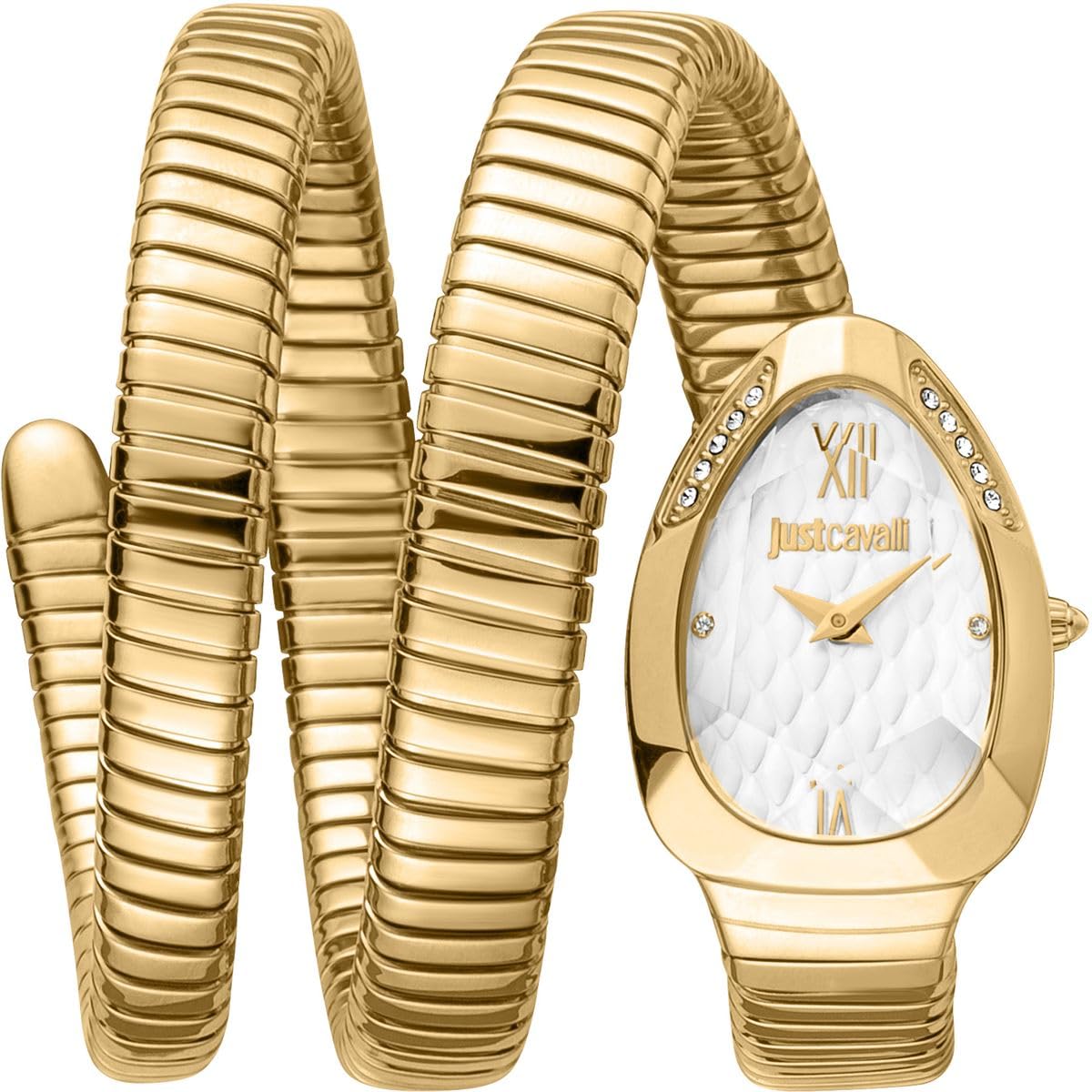 Just Cavalli Stainless Steel Women Analog Watchgold-Jc1L224M0035 ...