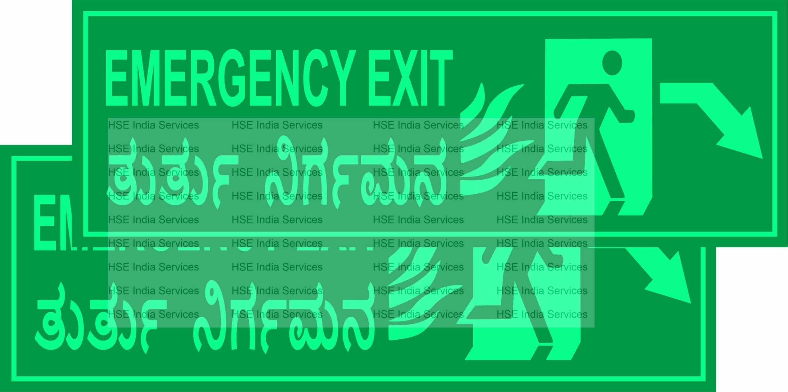 Buy HSE India Services Emergency exit Night Glow Dark in glow Sign ...