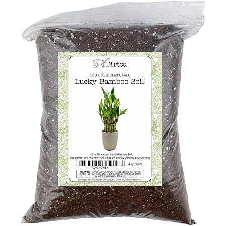 Amazon.com : Soil Mixture for Lucky Bamboo Plants, Specialized Soil Mix ...