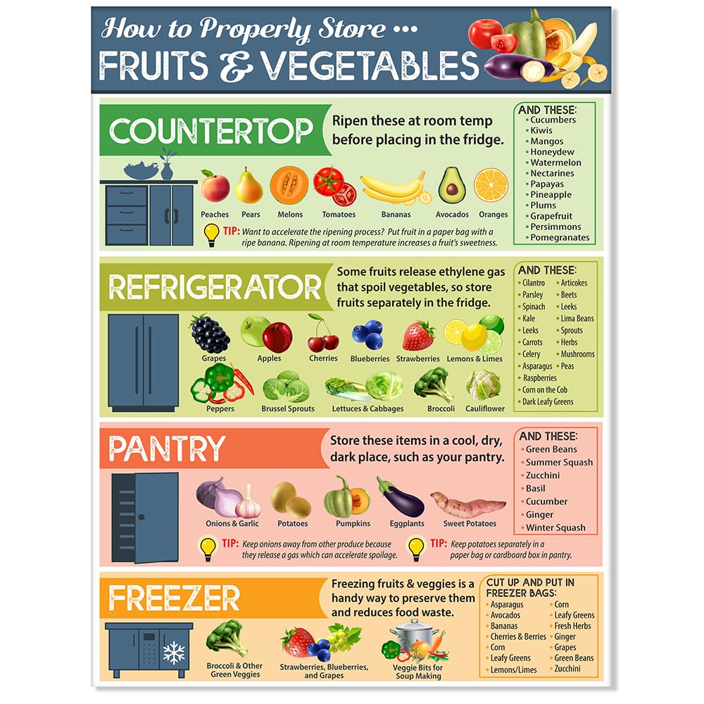 Amazon.com: How to Store Vegetables and Fruits 17x13 Laminated Food ...