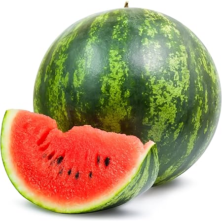Amazon.com : Park SeedCal Sweet Bush Watermelon Seeds, Pack of 10 Seeds ...