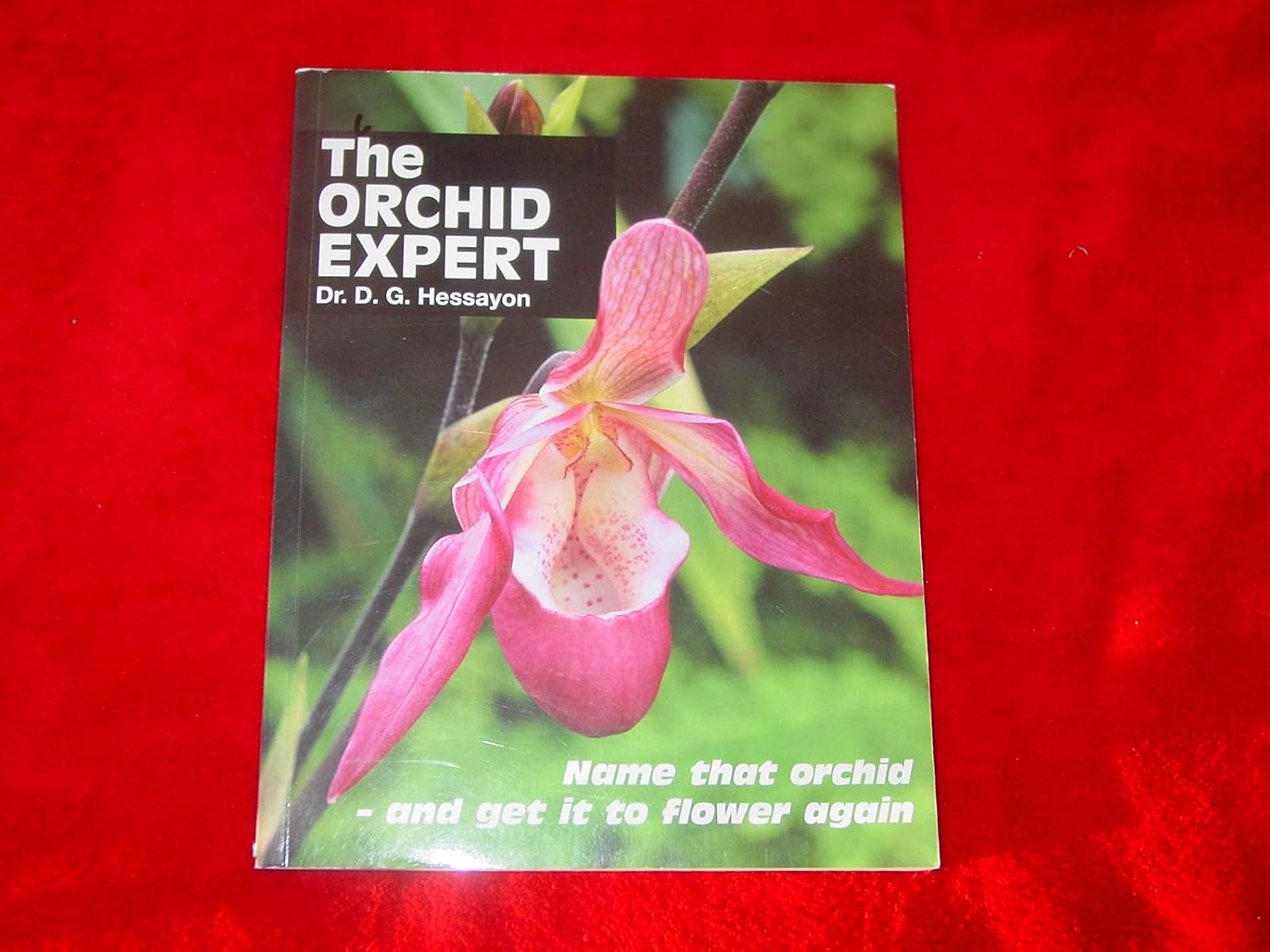 The Orchid Expert: Name that orchid - and get it to flower again ...