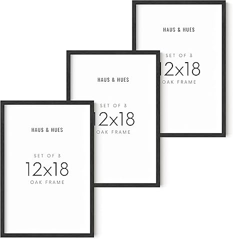 Amazon.com - HAUS AND HUES Set of 3 12x18 Poster Frame - 18 x 12 ...